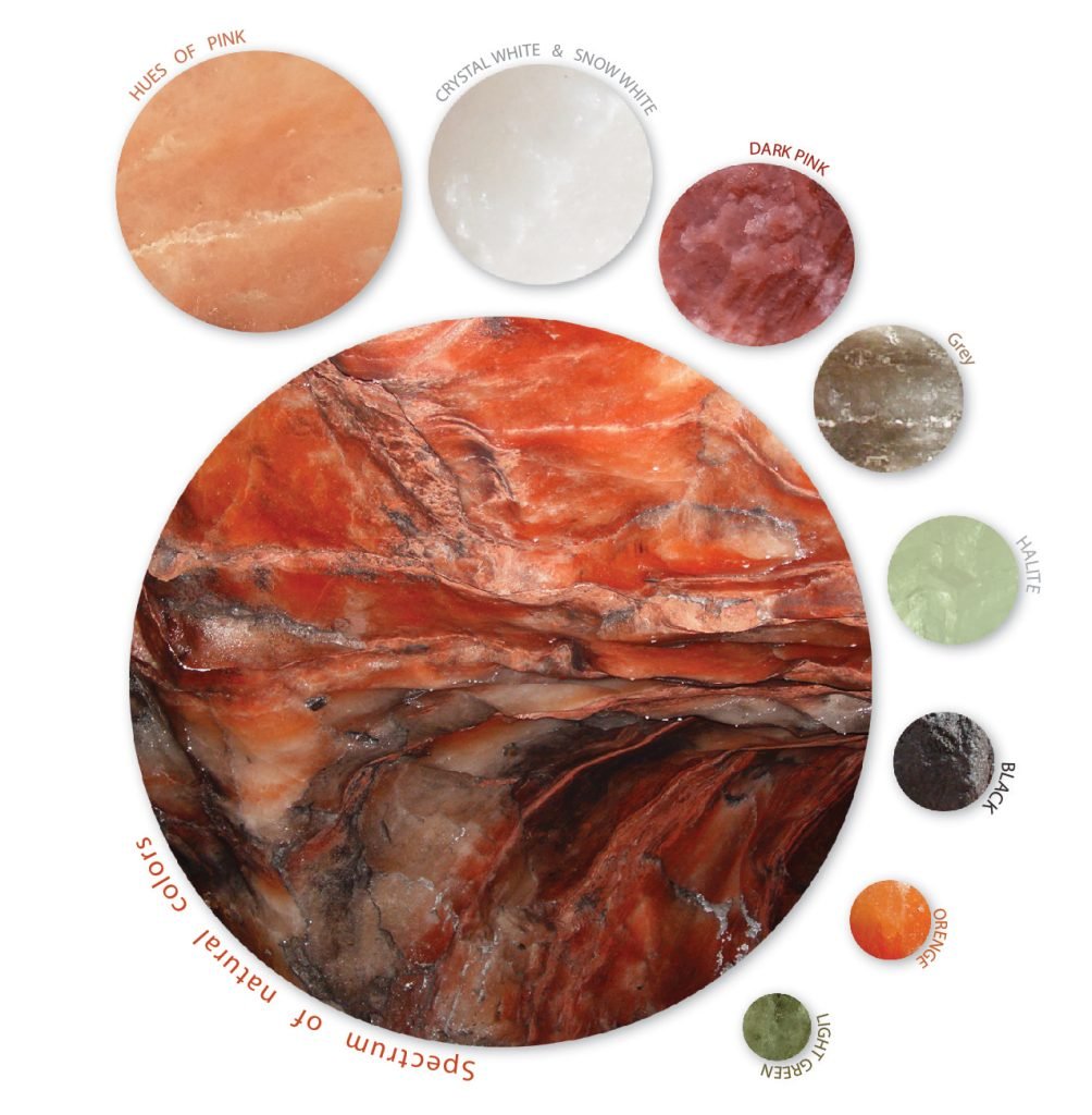 Animal - Indus Valley Crafts